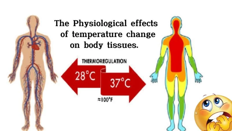 How Weather Changes Affect Your Body: What You Need to Know